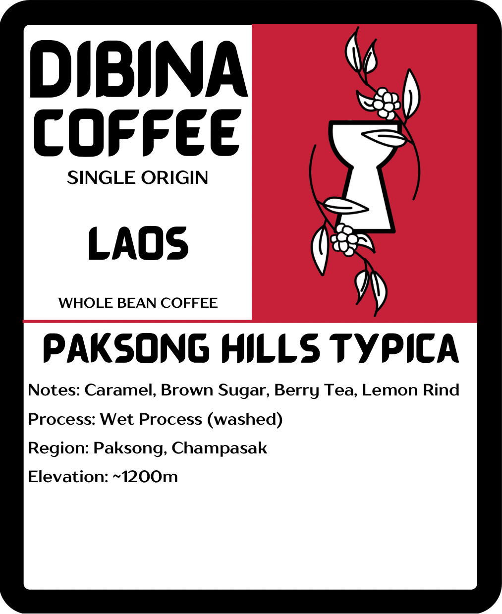 Laos - Paksong Hills – Dibina Coffee